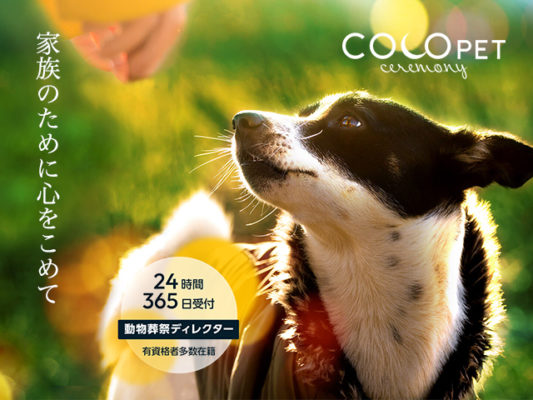【COCOPET（ココペット）】の口コミ・評判を見る｜ ペット葬儀マップ